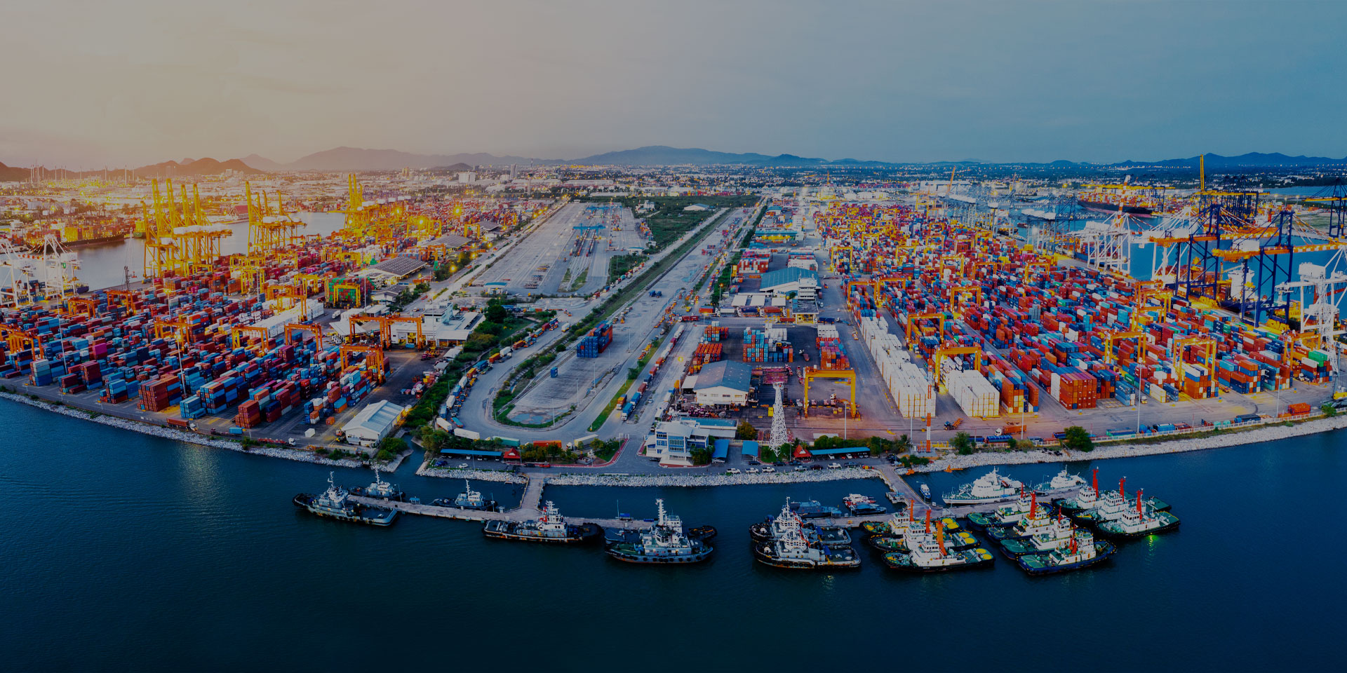 Cost-Effective Freight Forwarding Company - Sharp Blue